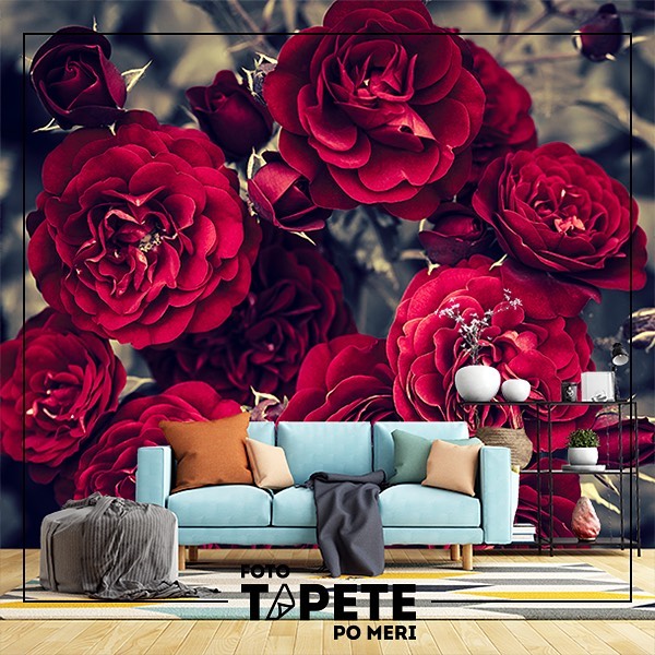 Foto tapete po meri, Izrada tapeta, Folije, Tapete, 3D Tapete